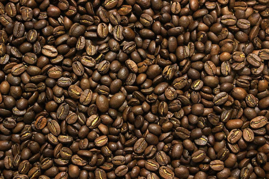 What is Arabica Coffee? | Hoxton Coffee Co.